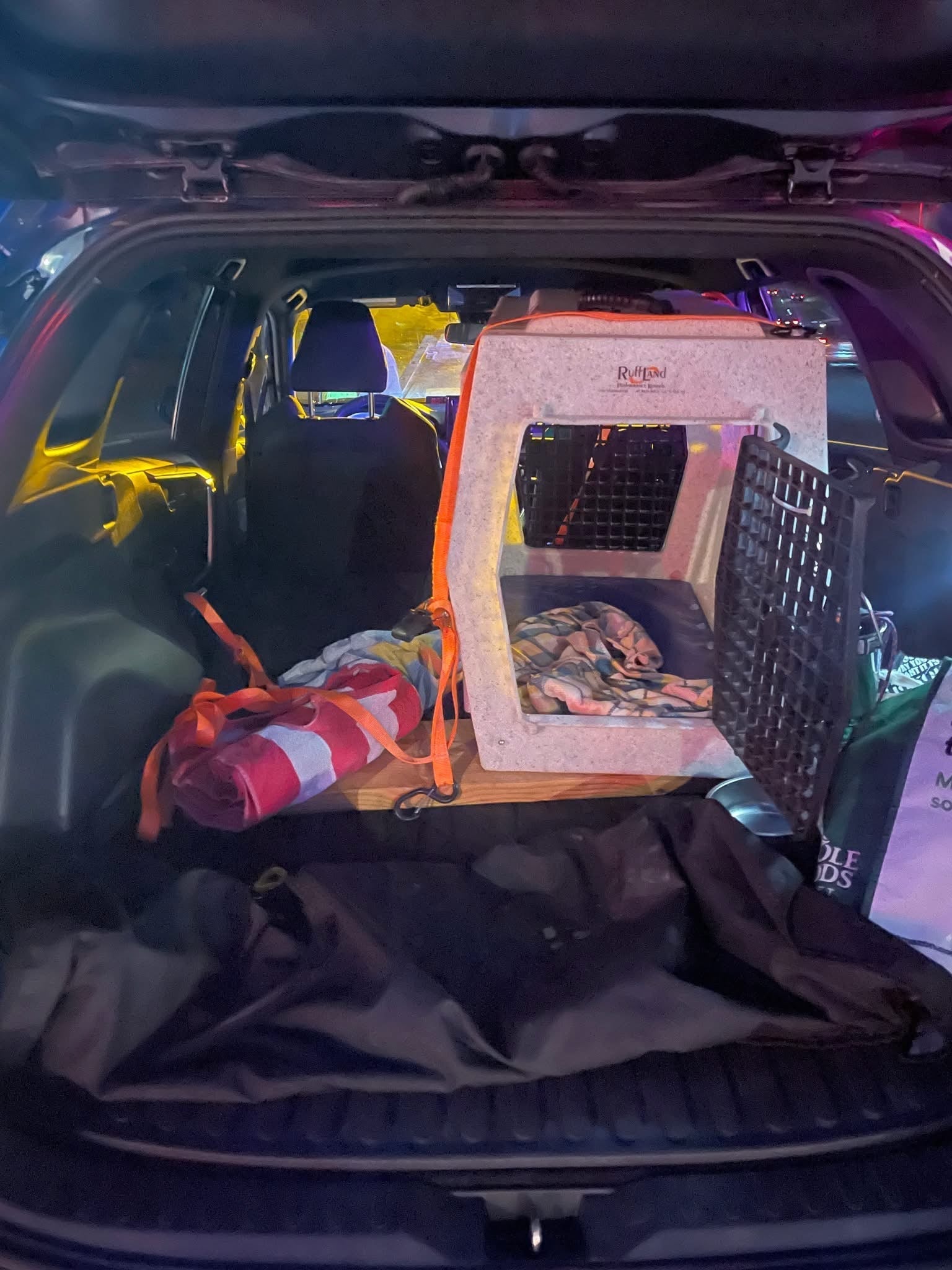 El criadero Ruff Land™ de Hannah Saddler salvó la vida de sus perros ...