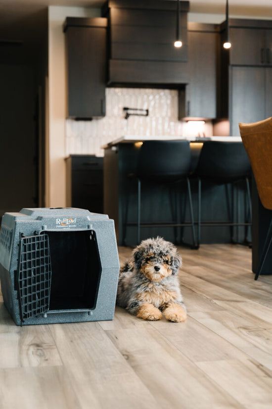 Small Kennel - RuffLand® Performance Kennels