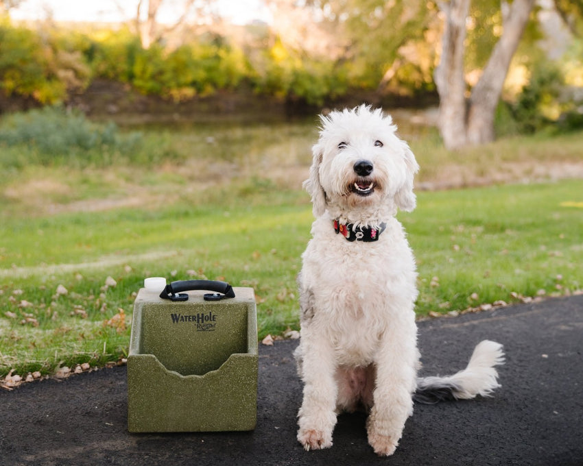 About Us - RuffLand® Performance Kennels